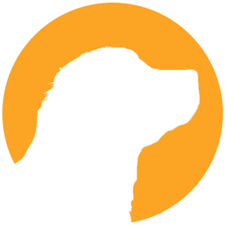 Tussigon For Dogs: Uses And Side Effects