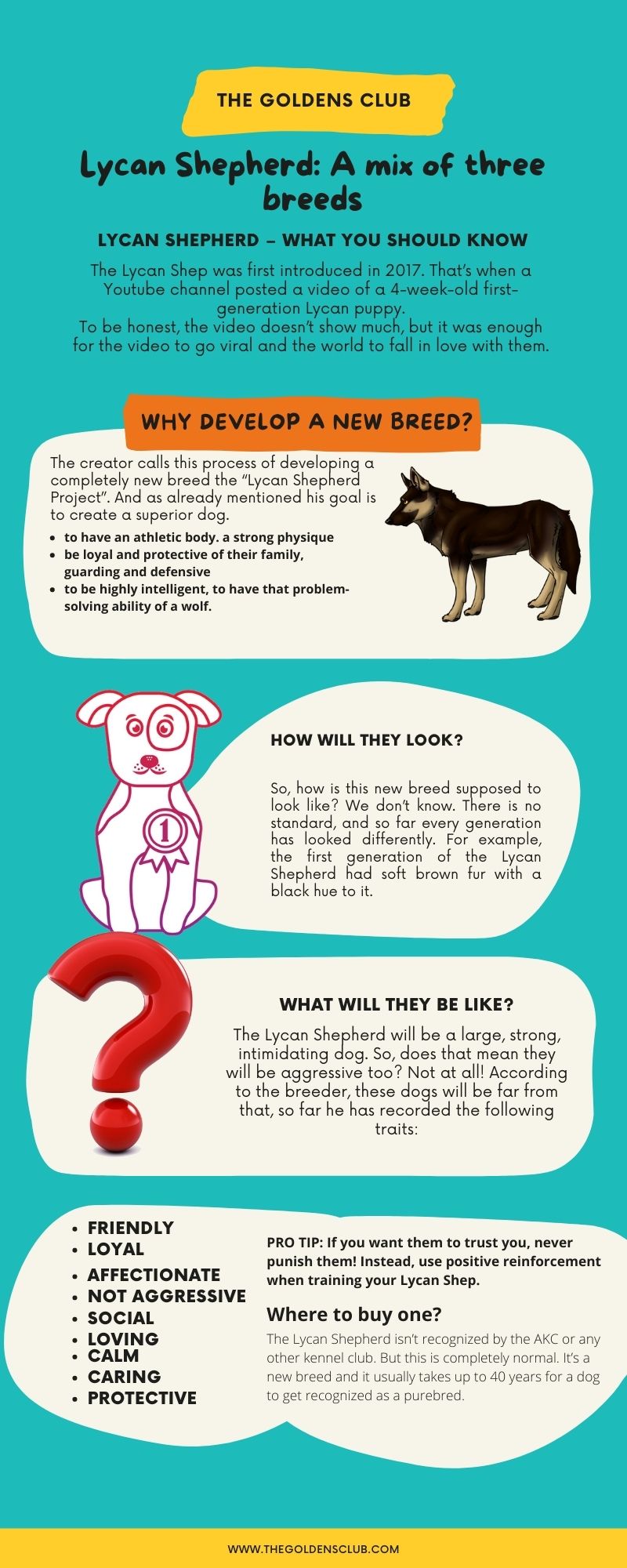 Lycan Shepherd: A mix of three breeds